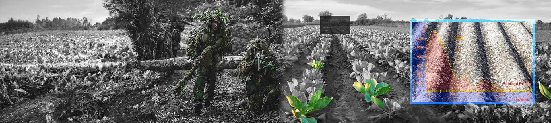 Unlocking Insights: The Transformative Power of Hyperspectral Imaging ...