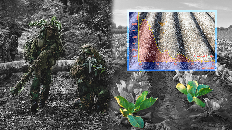 Unlocking Insights: The Transformative Power of Hyperspectral Imaging ...