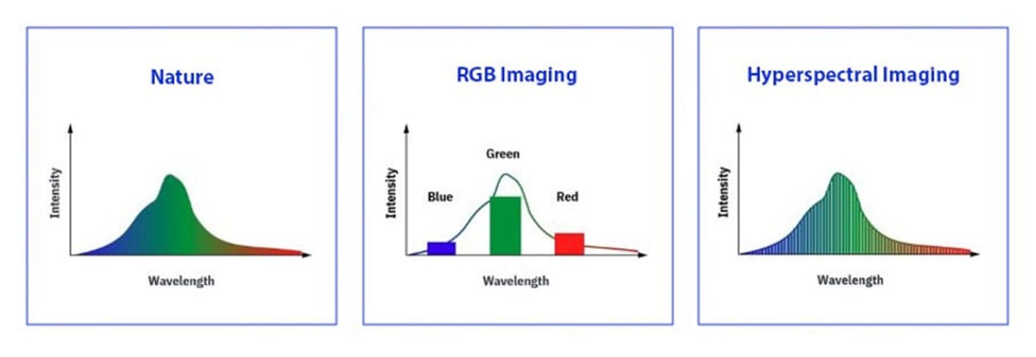 Unlocking Insights: The Transformative Power of Hyperspectral Imaging ...